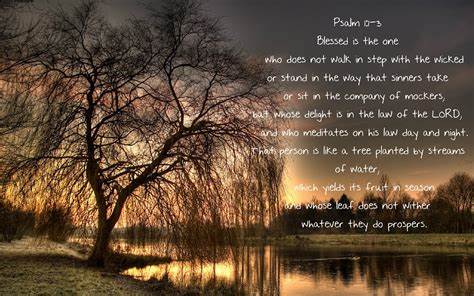 Father Lawrence Jagdfeld O.F.M. - Blessed Are You...